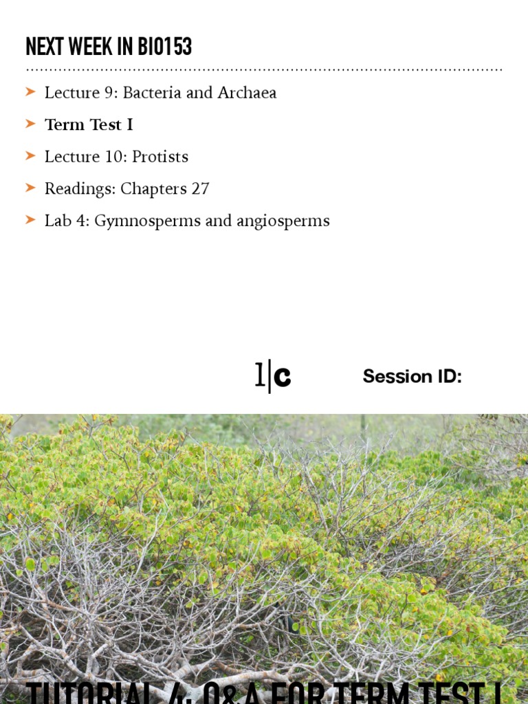 BIO153 16 Tutorial 4 QA | PDF | Rodent | Species