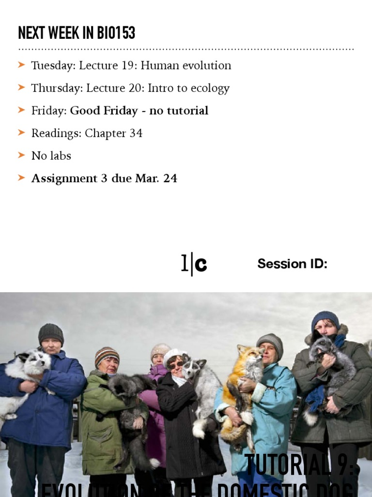BIO153 16 Tutorial 9 PDF | PDF | Domestication | Natural Selection
