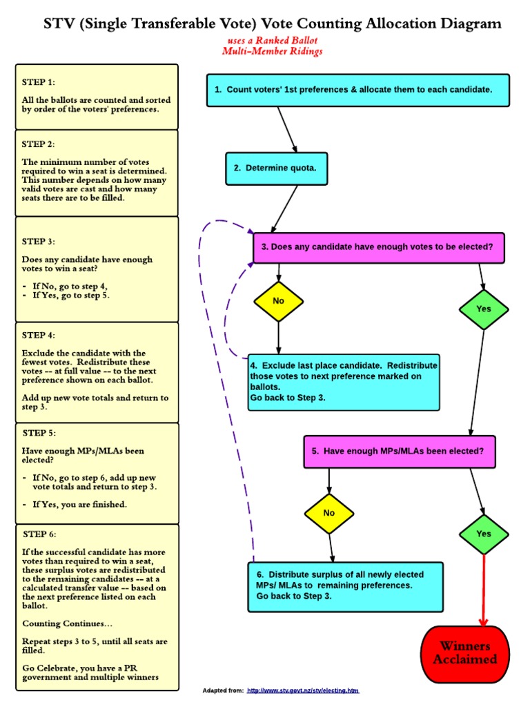 STV Vote Counting Process Guide | PDF | Voting | Political Law