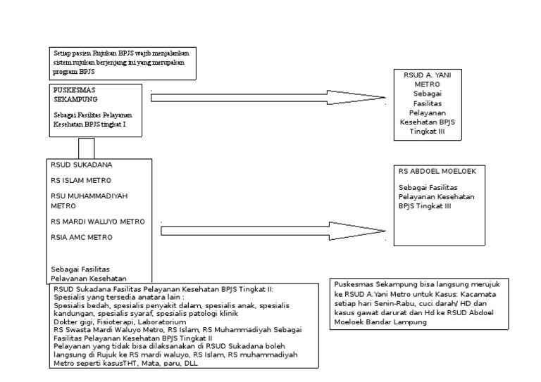 Alur BPJS | PDF | Pengembangan Diri
