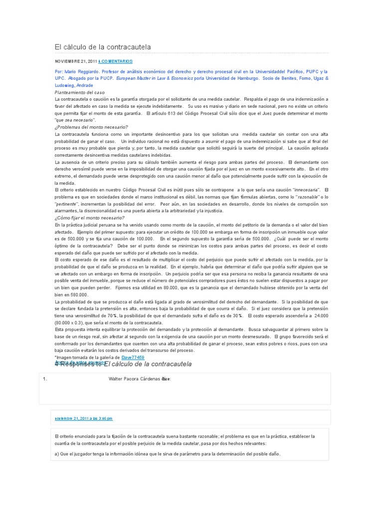 El Cálculo de La Contracautela | PDF | Mandato | Probabilidad