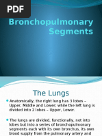 The Radiology Assistant - Lung Segments and Bronchi | PDF | Lung ...
