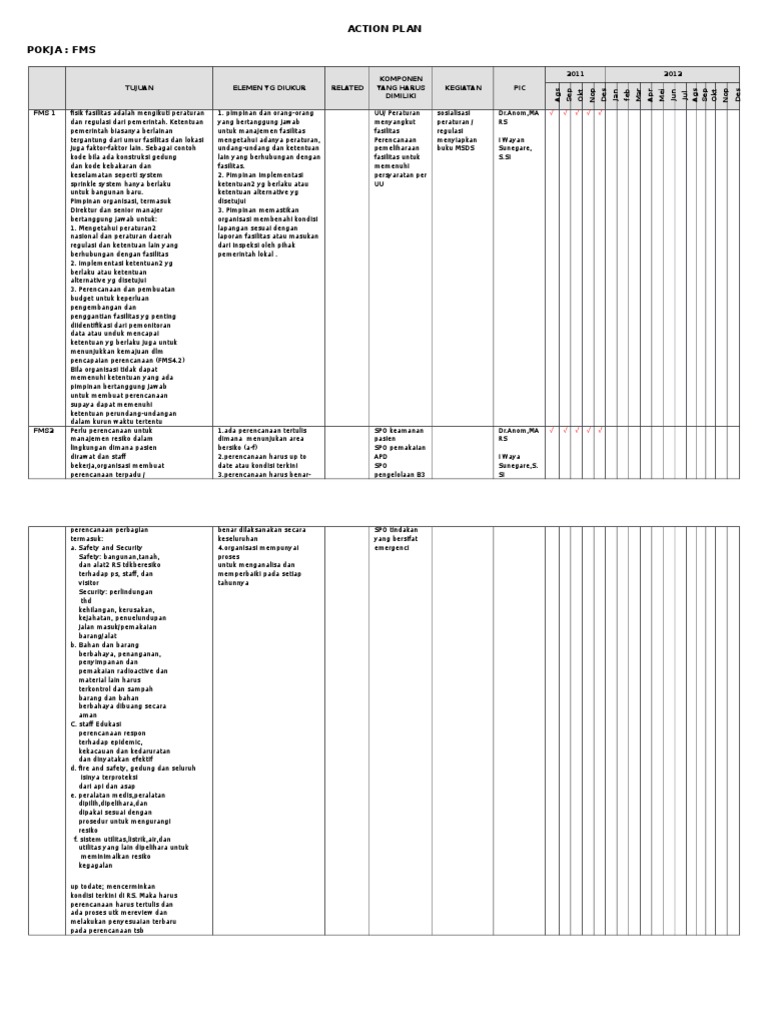 Action Plan FMS | PDF