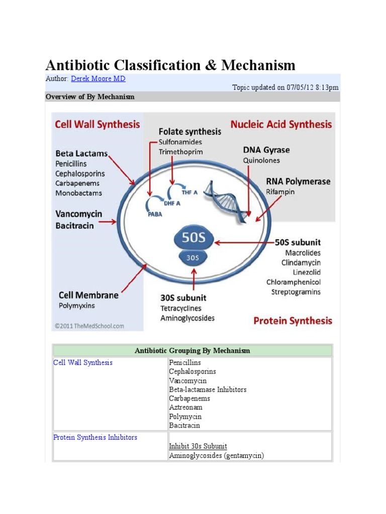 Antibiotic Classification and Mechanisms | PDF | Penicillin | Gram ...