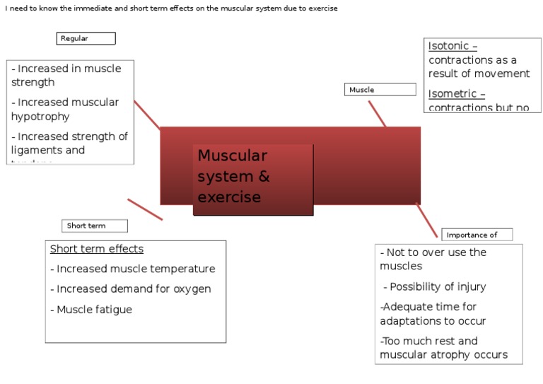 Effects of Exercise on Muscular System | PDF | Science & Mathematics