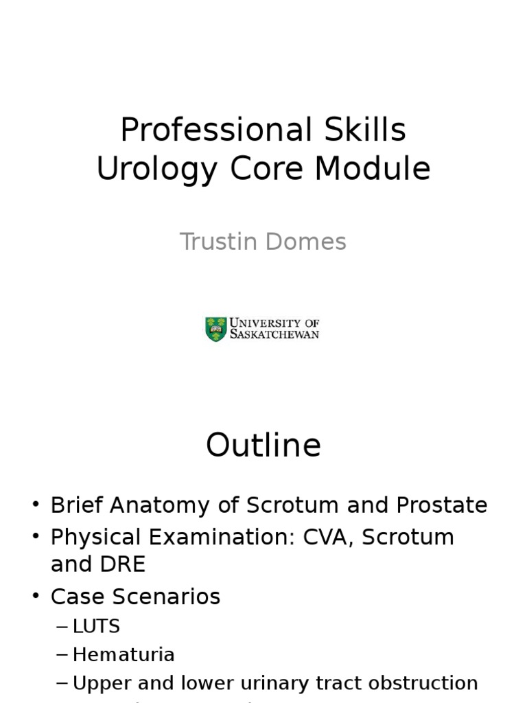 Urology Module Introduction | PDF | Testicle | Animal Anatomy