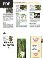 Flora y Fauna de La Sierra Peruana | PDF | Andes