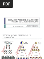Etapas del Proceso PCR Detalladas | PDF | Reacción en cadena de la ...
