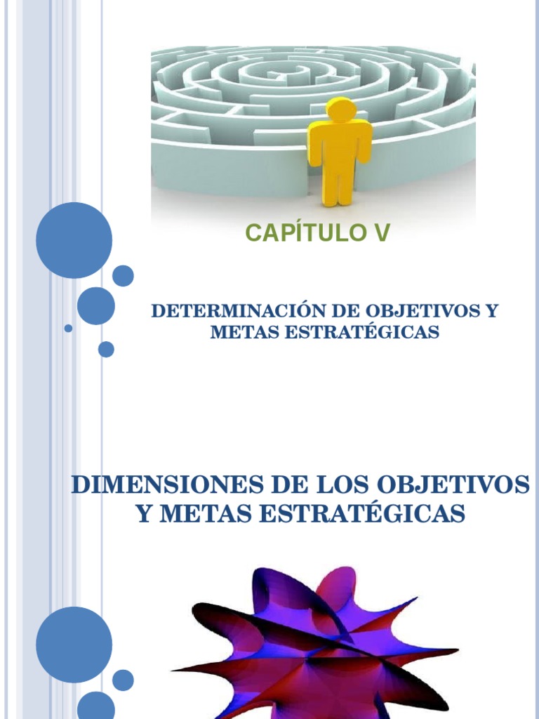 Dimensiones de Los Objetivos y Metas Estrategicas | PDF