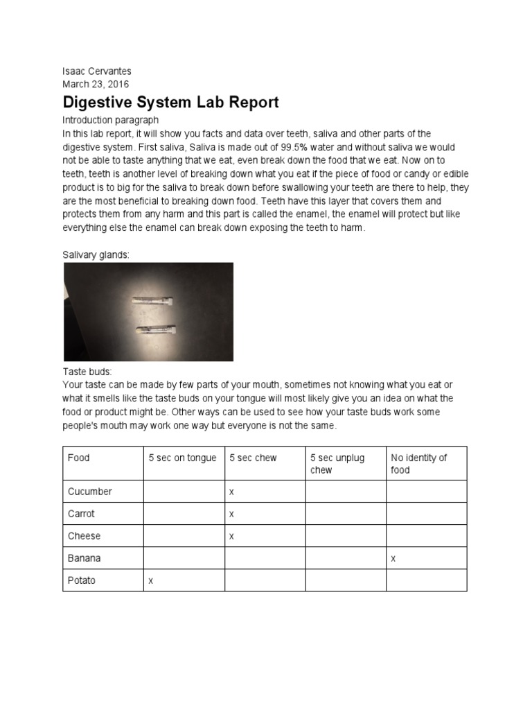 Digestive System Lab Report Insights | PDF | Lifestyle
