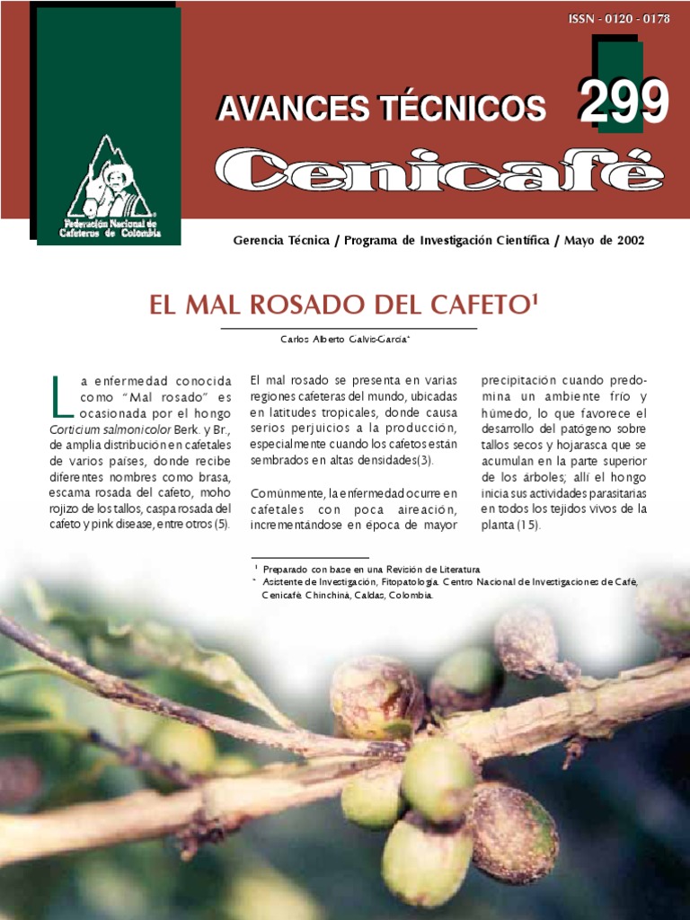 Mal_Rosado.pdf | café | Hongo