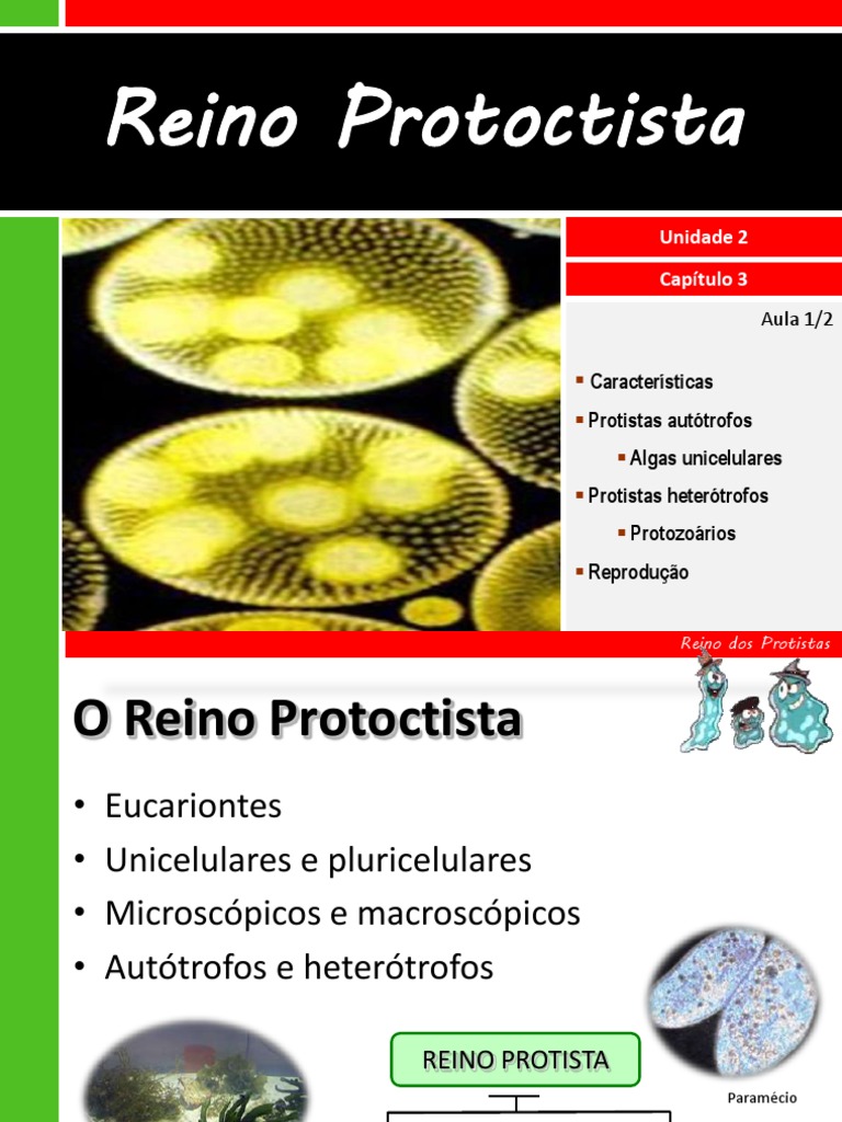 Reino Protista | PDF | Microbiologia | Biologia