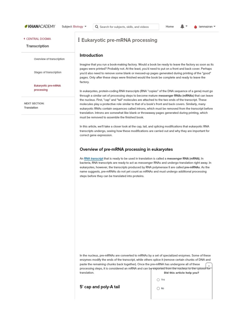 Eukaryotic Pre-mRNA Processing Transcription Khan Academy | PDF ...