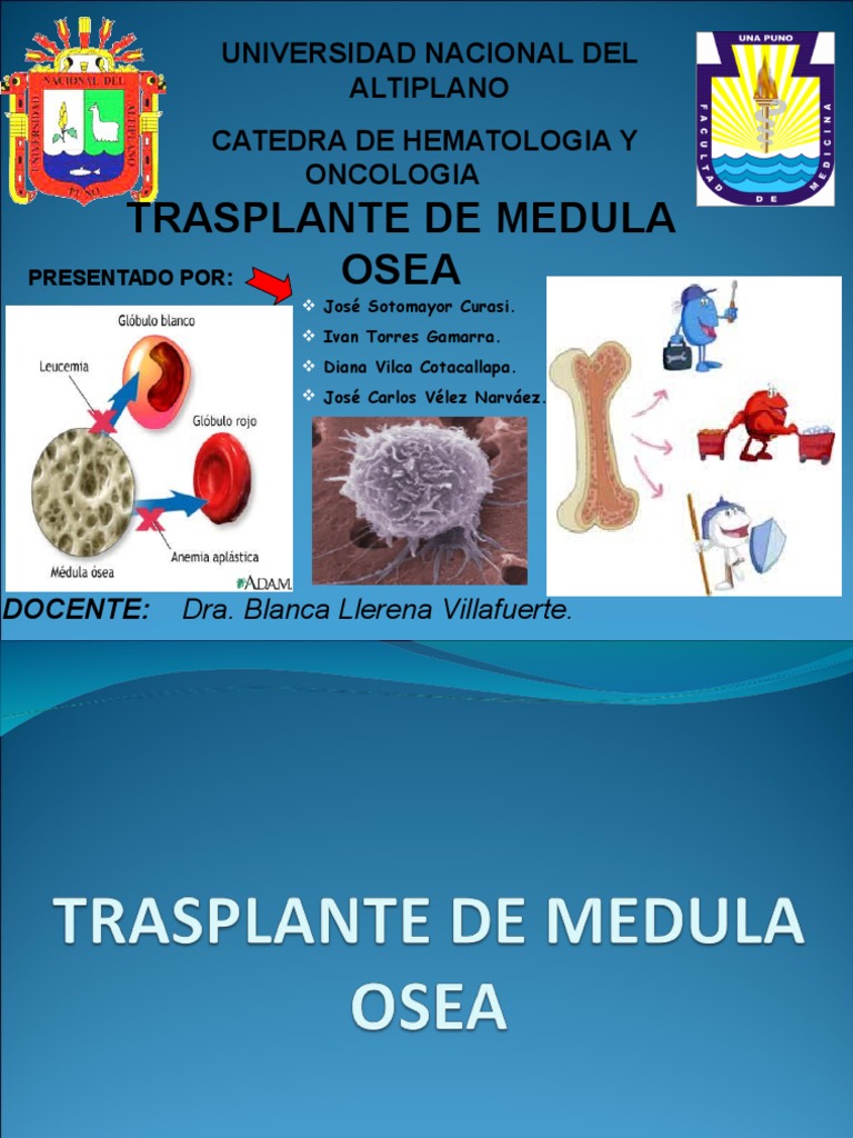 Transplante de Medula Osea (Final) | Hematopoietic Stem Cell ...