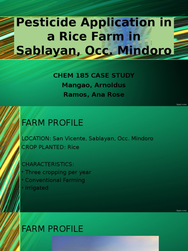Pesticide Application in A Rice Farm in Sablayan | PDF | Herbicide | Weed