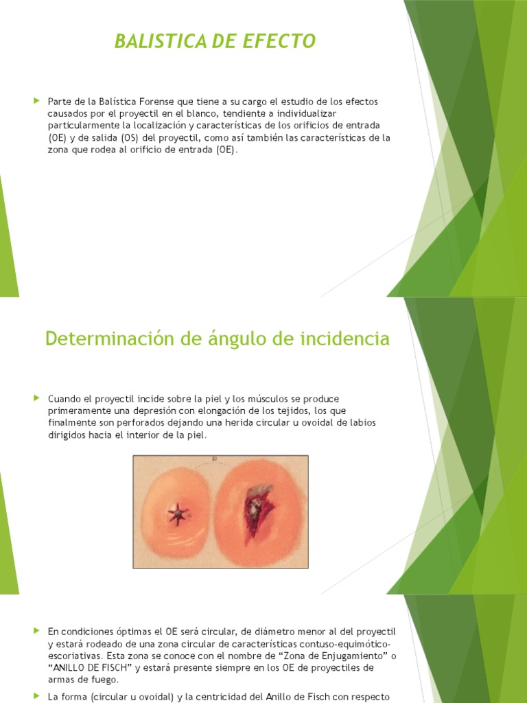 Balistica de Efecto | Descargar gratis PDF | Pólvora | Proyectiles