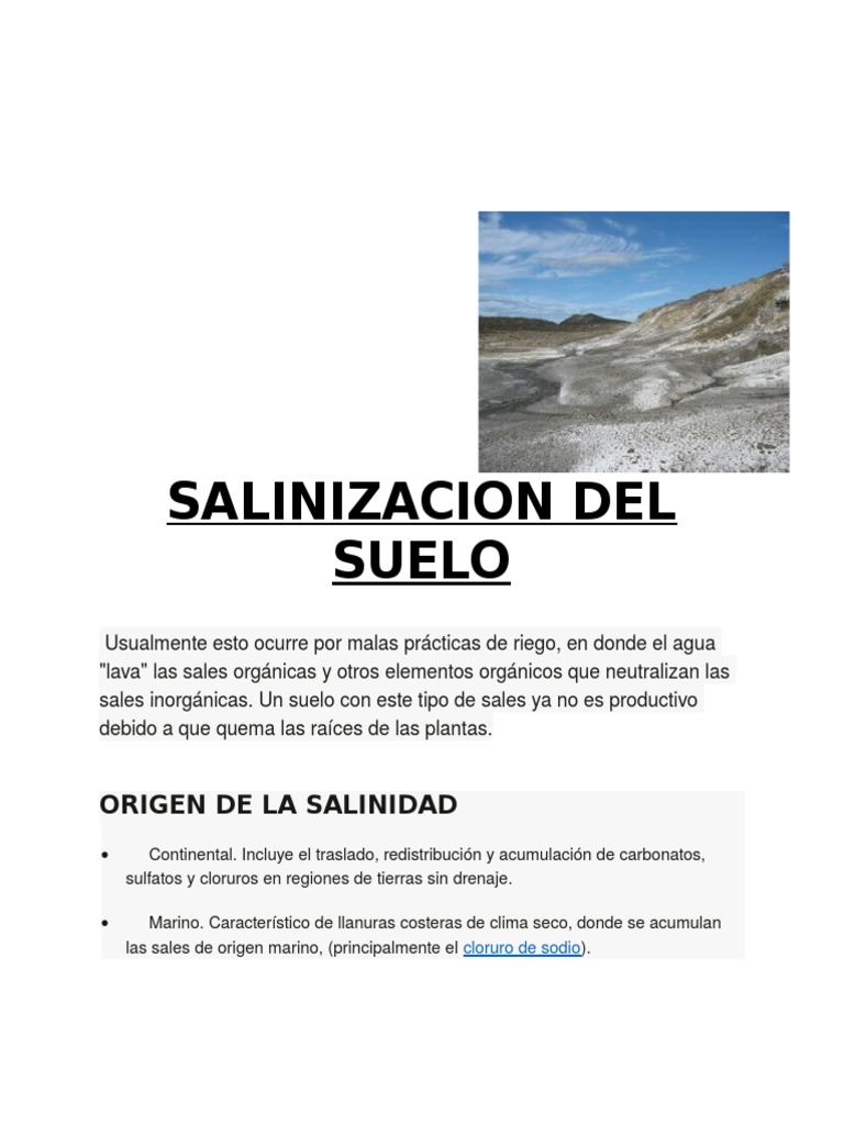 Salinizacion Del Suelo | PDF | Riego | Agua subterránea