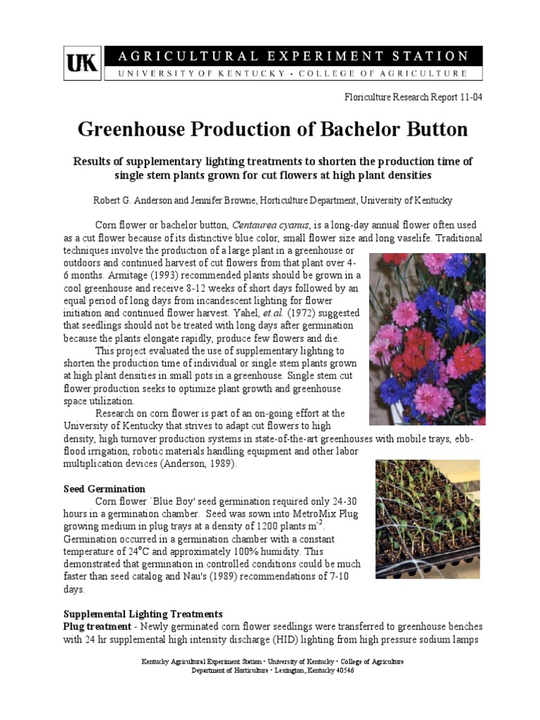 Greenhouse Production of Bachelor Button | PDF | Germination | Greenhouse