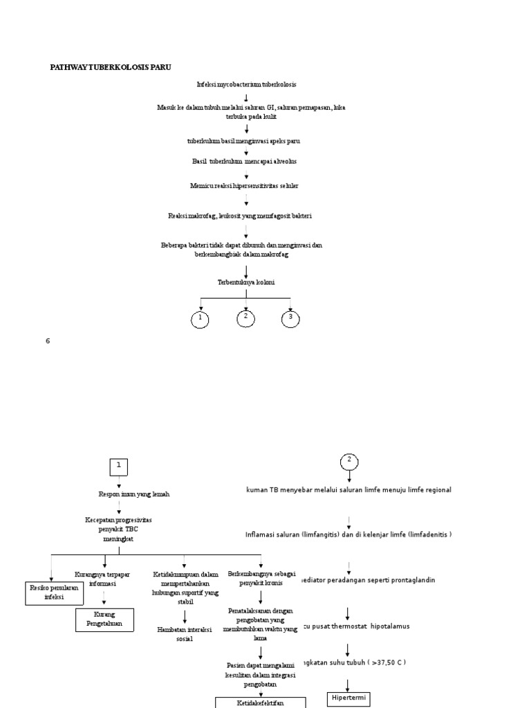 Pathway TB Paru | PDF