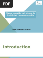 Presentation 1 | PDF | Risque opérationnel | Risque