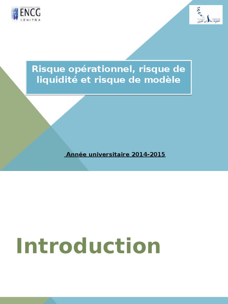 Risque Opérationnel Risque de Liquidité Et Risque de Modèle | PDF | Risque opérationnel | Risque