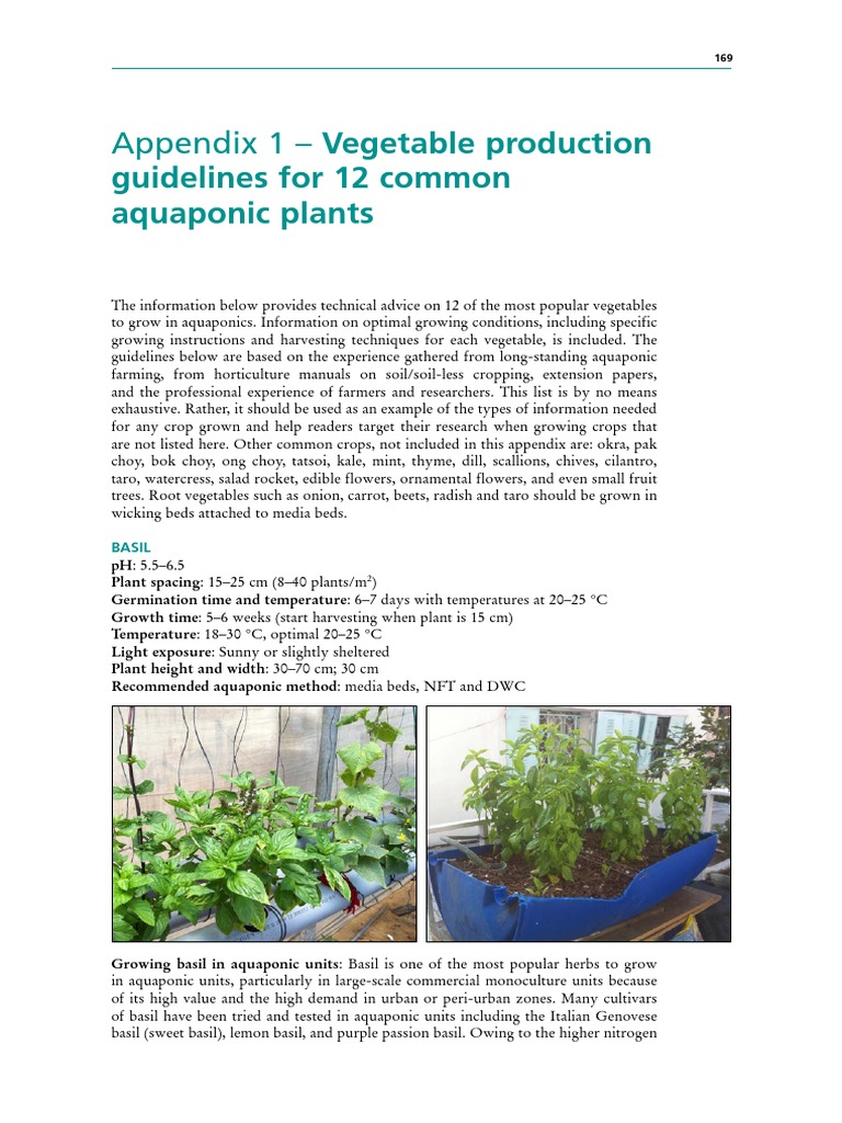 FAO Veggie Production Guidelines | Download Free PDF | Aquaponics | Lettuce