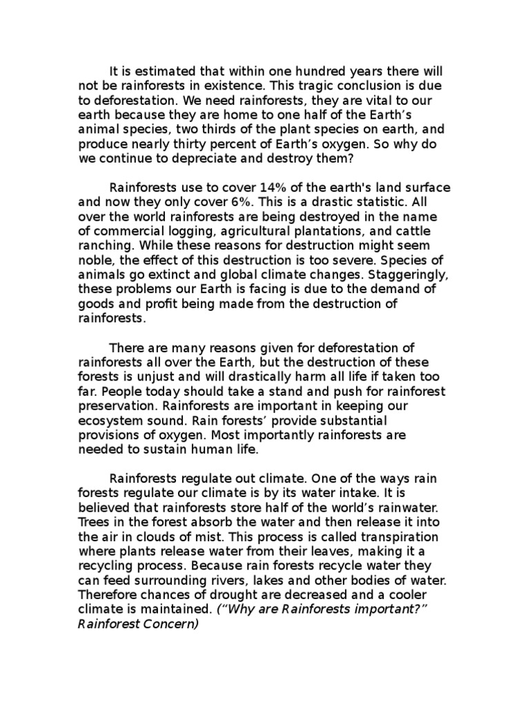 Rainforest Argumentative Essay Complete | PDF | Rainforest | Deforestation