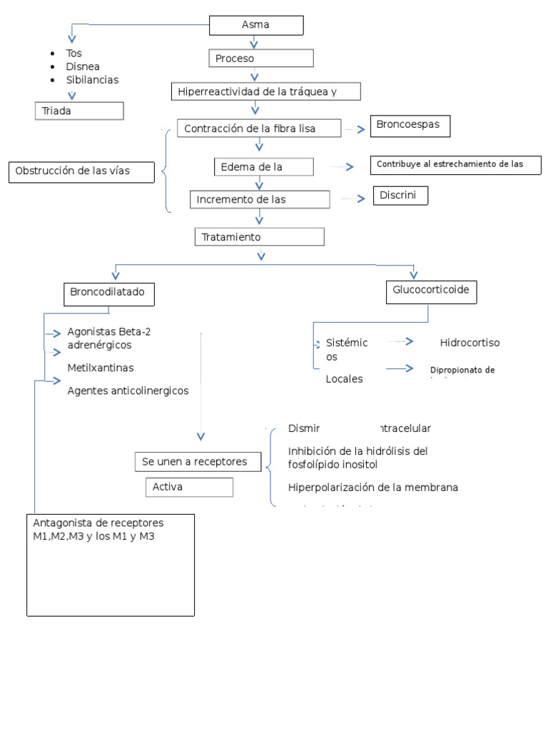 Mapa Conceptual Del Asma | PDF