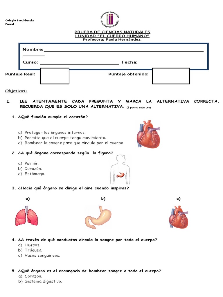 Prueba de Ciencias Naturales: Cuerpo Humano | PDF | Corazón | Músculo