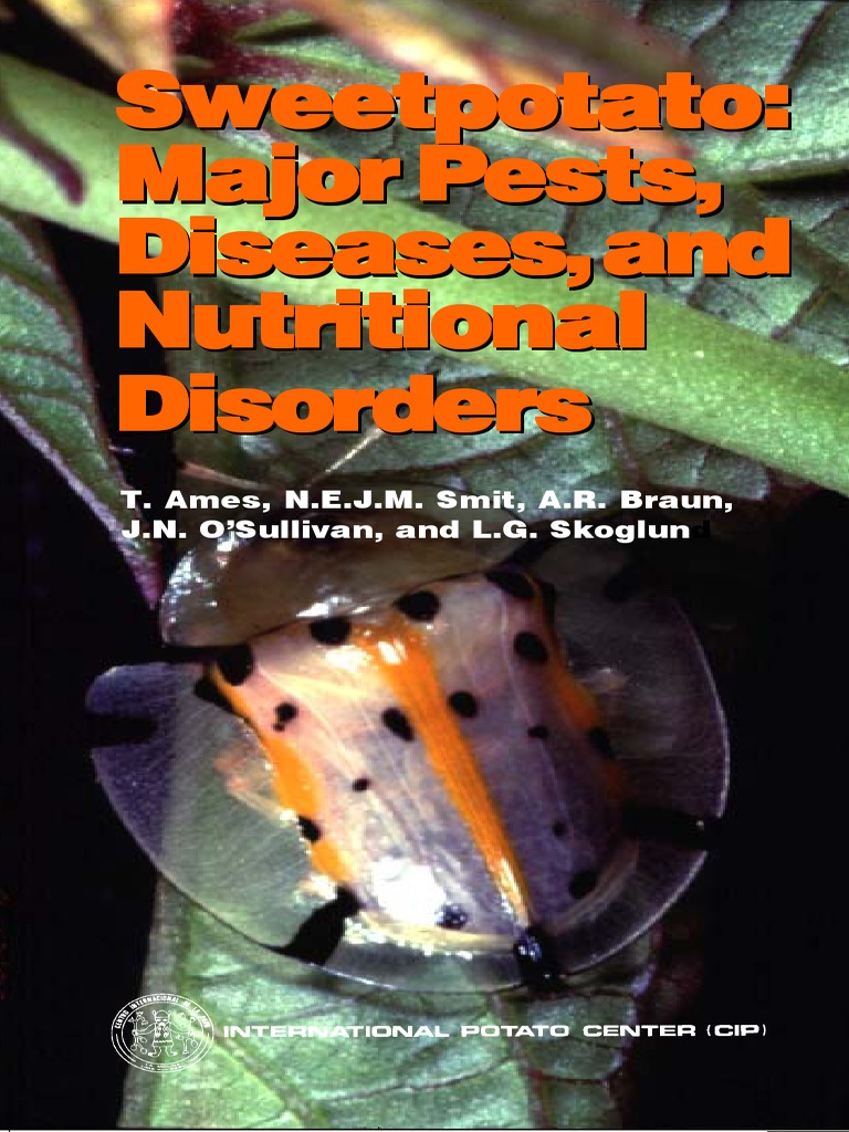 Sweetpotato Pest & Disease Guide | PDF | Beetle | Lepidoptera