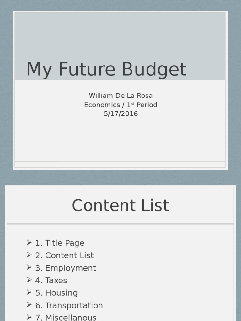 Future Budget Plan for Mechanical Engineer | PDF | Social Science