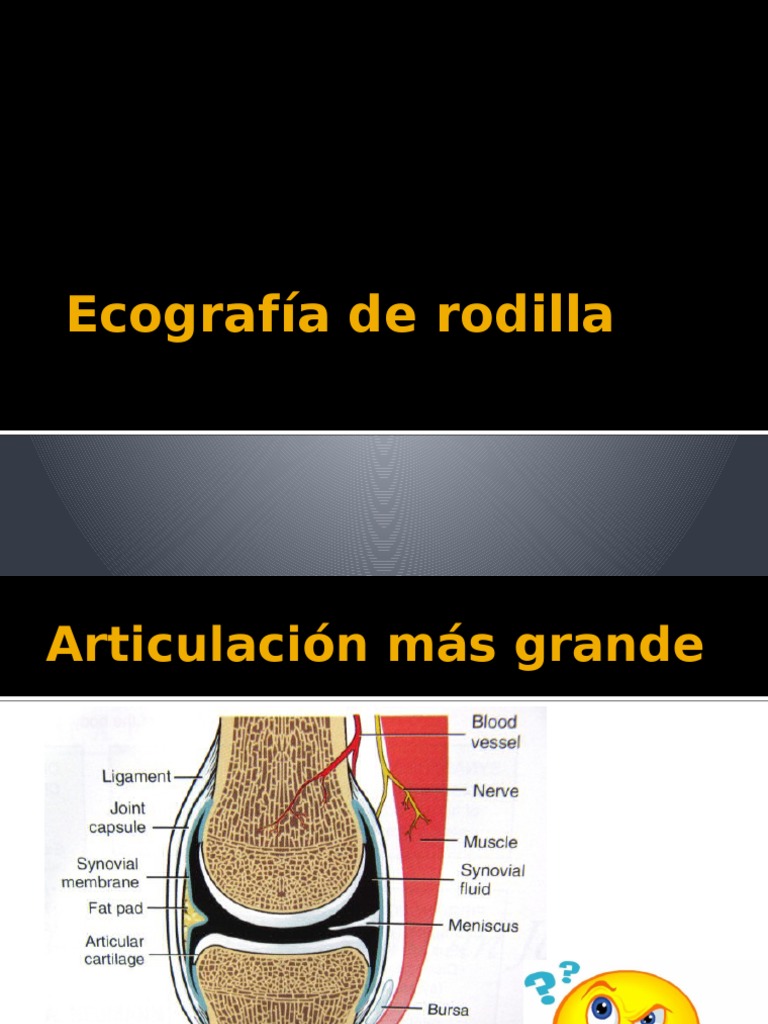 Ecografía de Rodilla | Rodilla | Articulaciones
