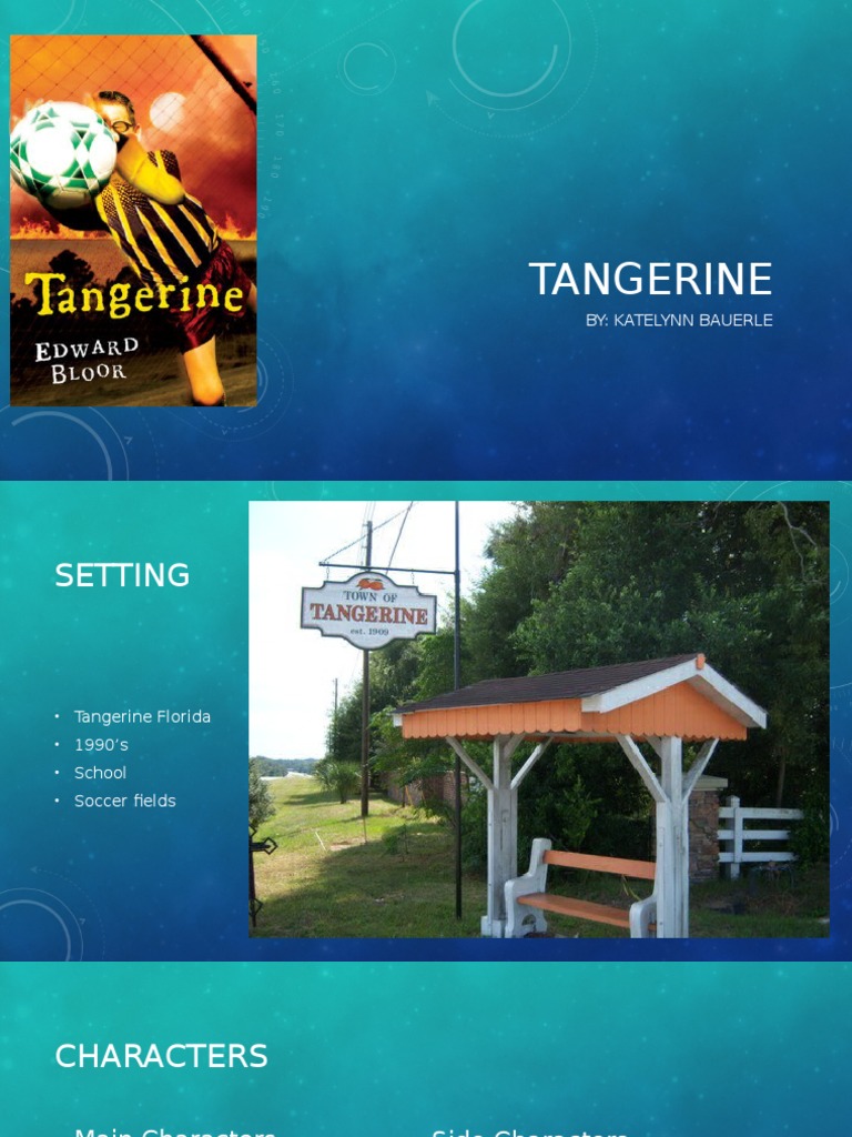 Paul Fisher's Journey in Tangerine | PDF | Art | Wellness