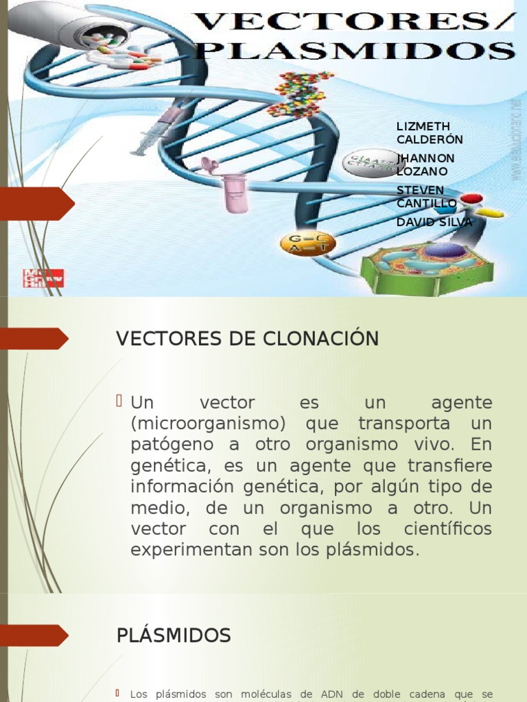 VECTORES PLASMIDOS | Plásmido | Adn