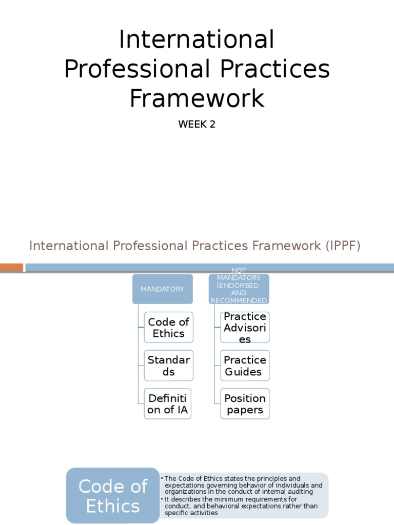 IPPFInternational Professional Practices Framework | PDF | Internal ...