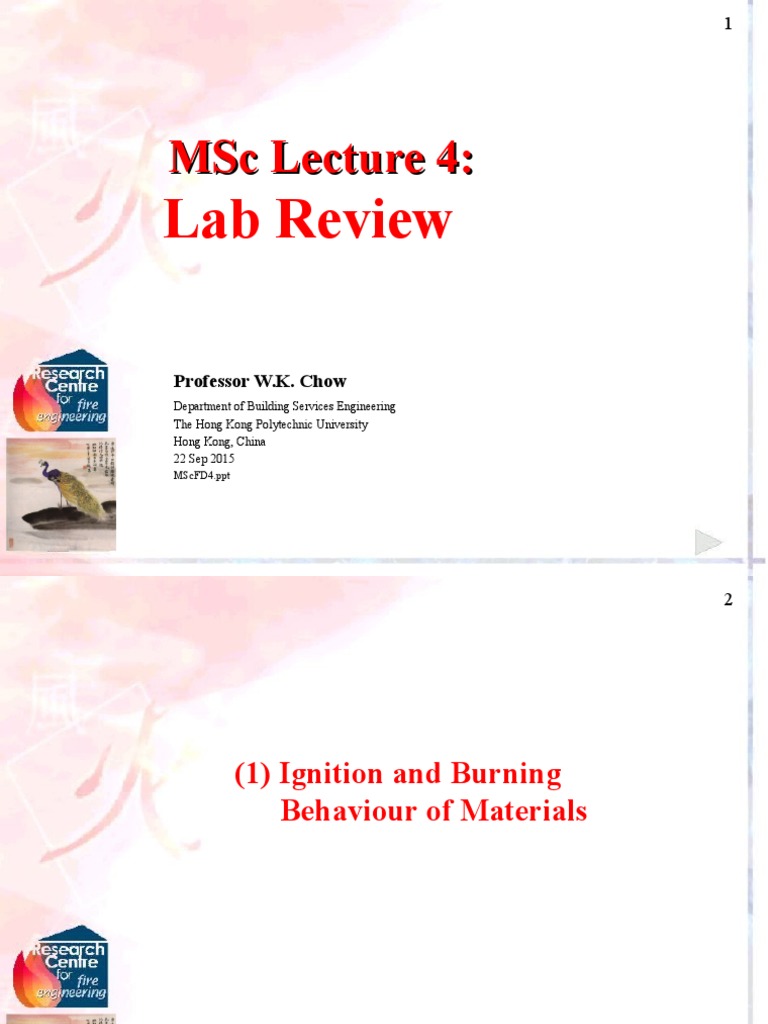 L4B | PDF | Teaching Methods & Materials | Science & Mathematics