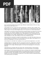 Navy Writing Style Guide | PDF | United States Navy | Seaman