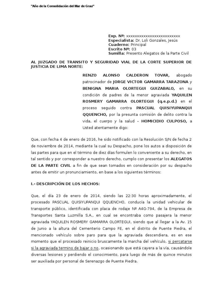 Alegatos Proceso Penal - Homicidio Culposo | PDF | Derecho penal | Justicia