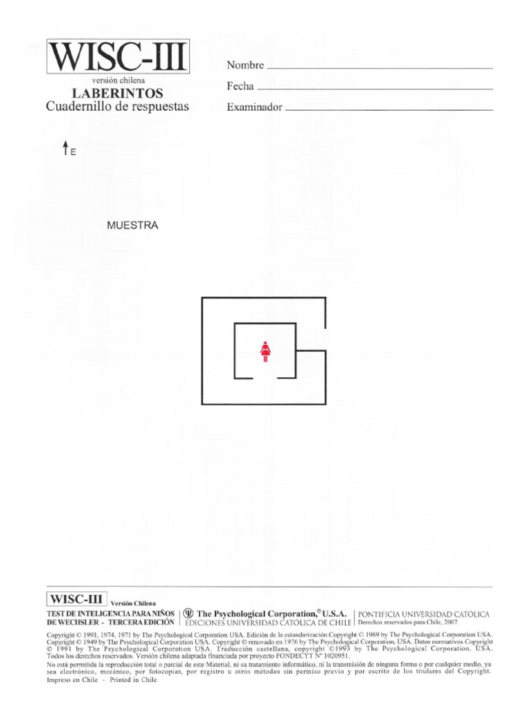 Wisc III Laberintos