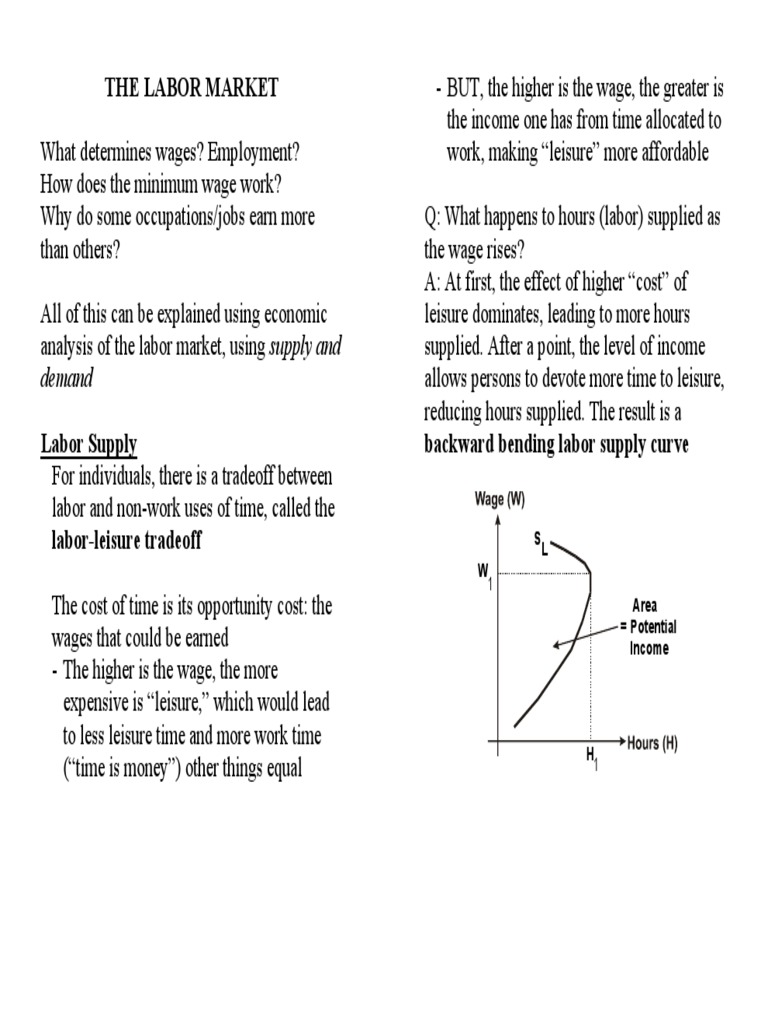 The Labor Market: Demand | PDF | Labour Economics | Demand