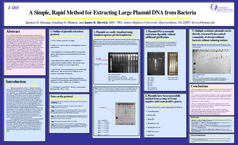 DNA Isolation Poster | PDF | Plasmid | Gel Electrophoresis