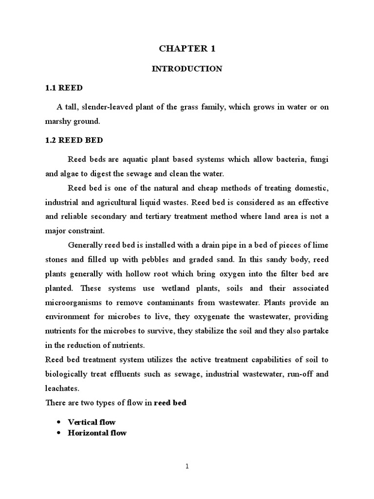 Reed Bed System | PDF | Sewage Treatment | Filtration