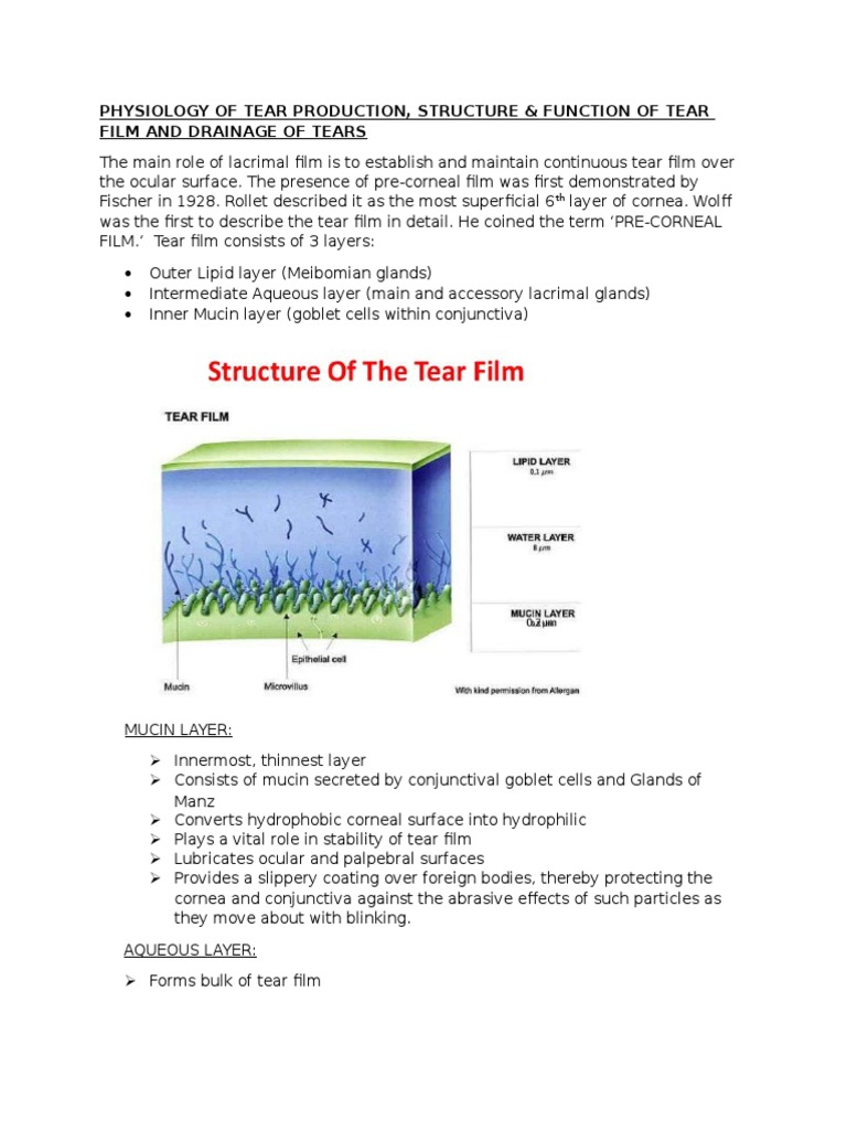 Tear Film Physiology and Function | PDF | Animal Anatomy | Human Head ...