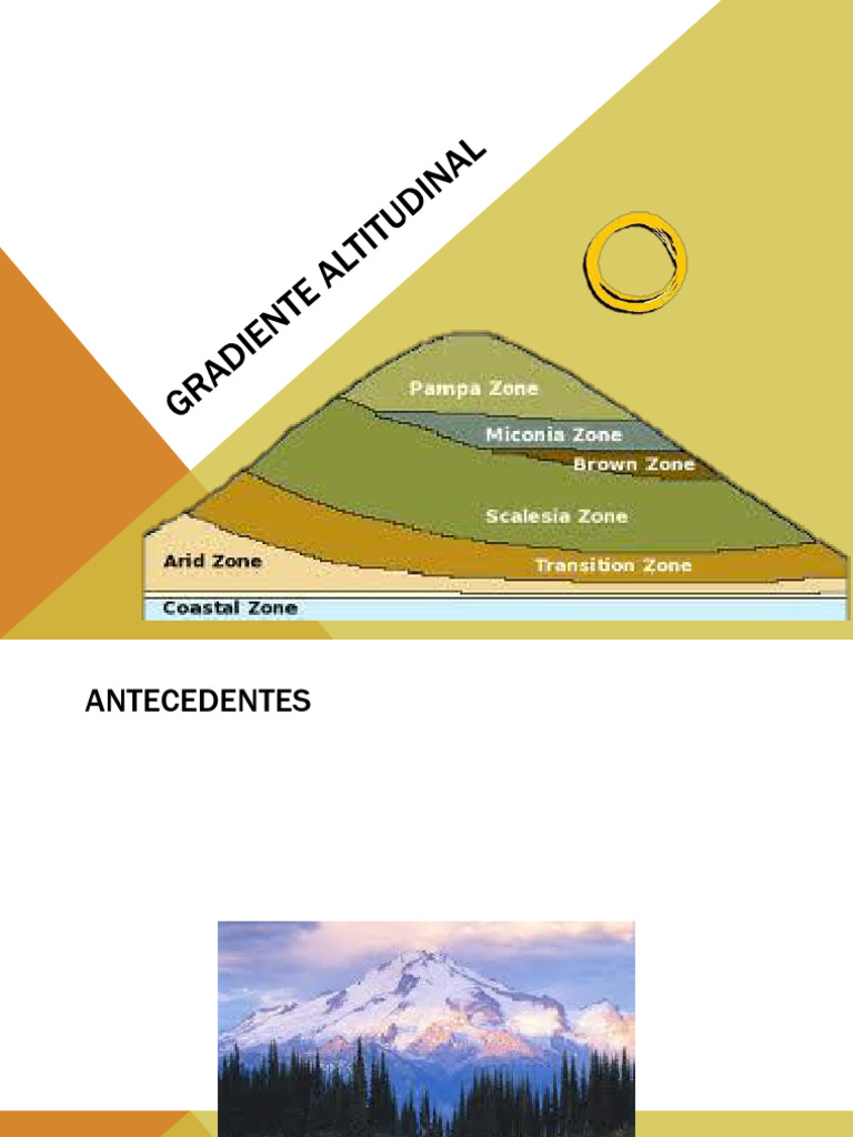 Gradiente Altitudinal | Clima | Biogeografia