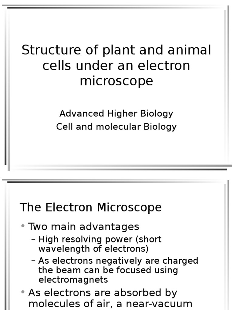Advanced Biology: Electron Microscopy | PDF