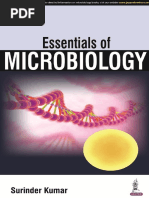 Manual of Sewer Condition Classification | PDF | Corrosion | Pipe ...