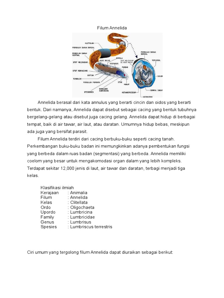 Filum Annelida | PDF | Sains & Matematika