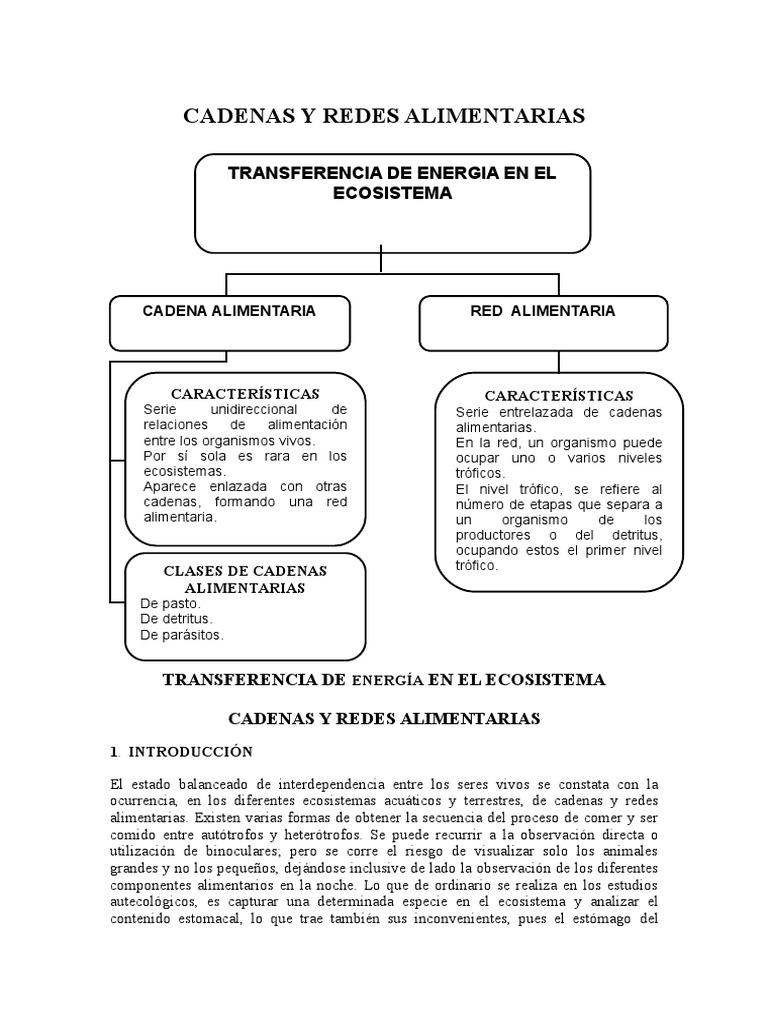 Cadenas y Redes Alimentarias | PDF | Nitrógeno | Ecología