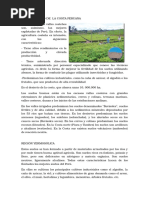 Suelos Fluvisoles: Importancia y Uso | PDF | Suelo | Riego