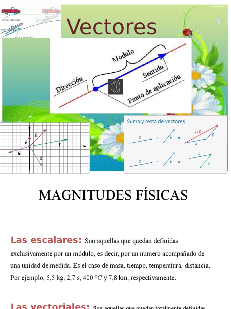 Introducción A Vectores | PDF | Vector Euclidiano | Ciencias fisicas